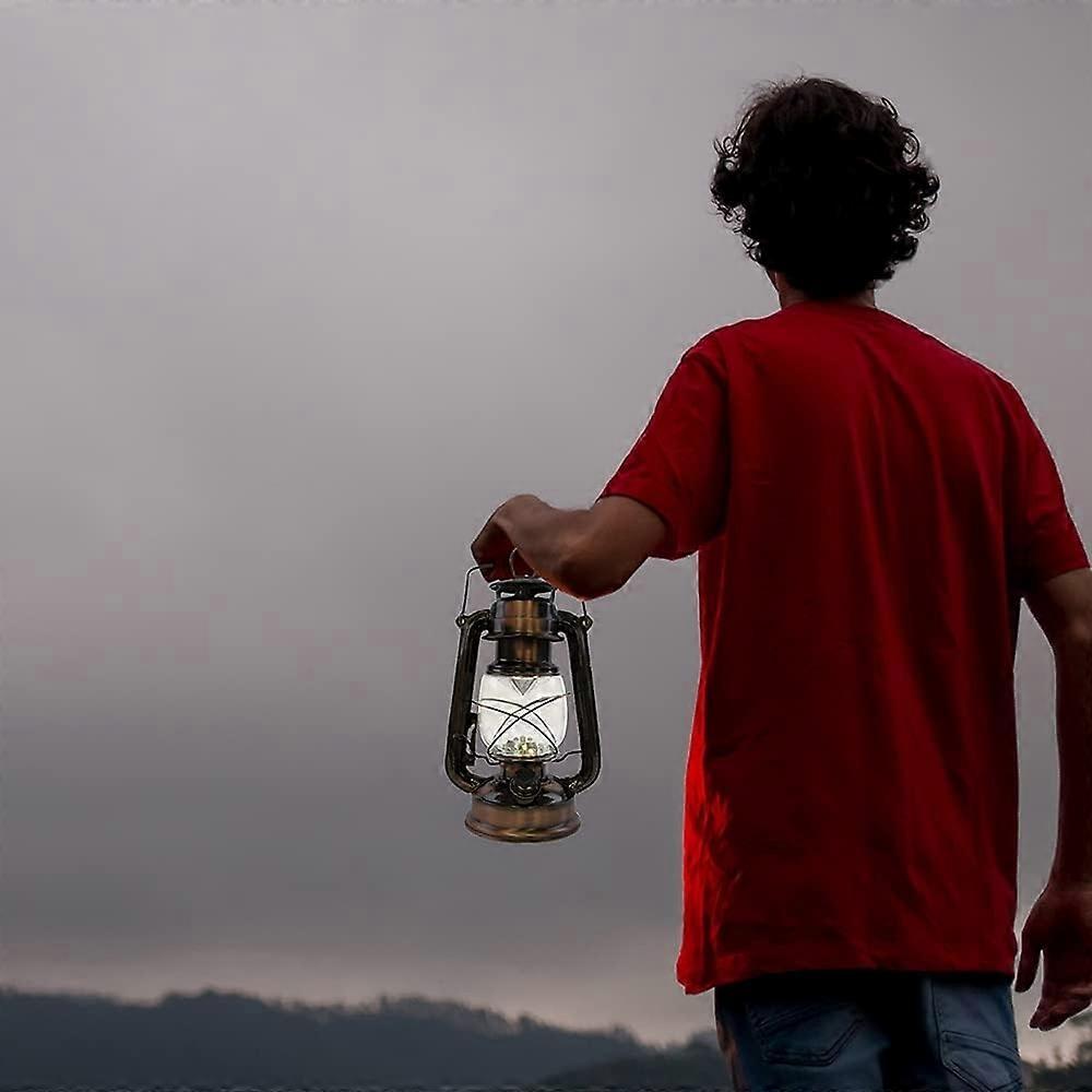 LED Storm Light with 15 Bright LEDs / Carry Handle / Weatherproof ...