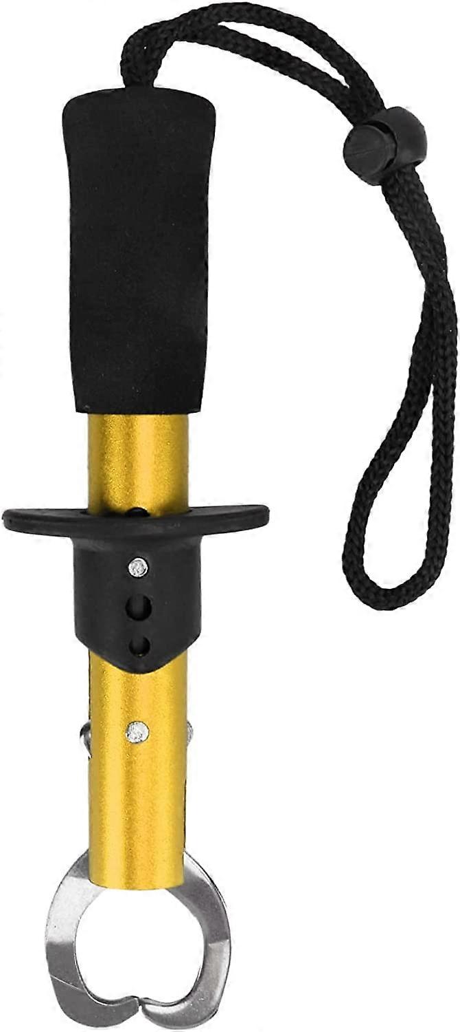Fish Gripper,Stainless Steel Fish Lip Grabber,Fish Grabber with Wrist ...