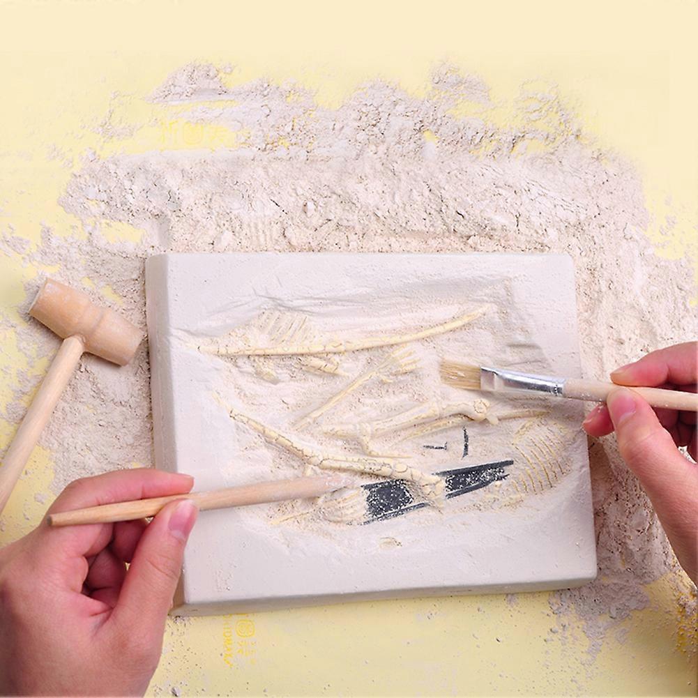 Assemble Dinosaur Skeleton Model Science Educational Toy for Children ...