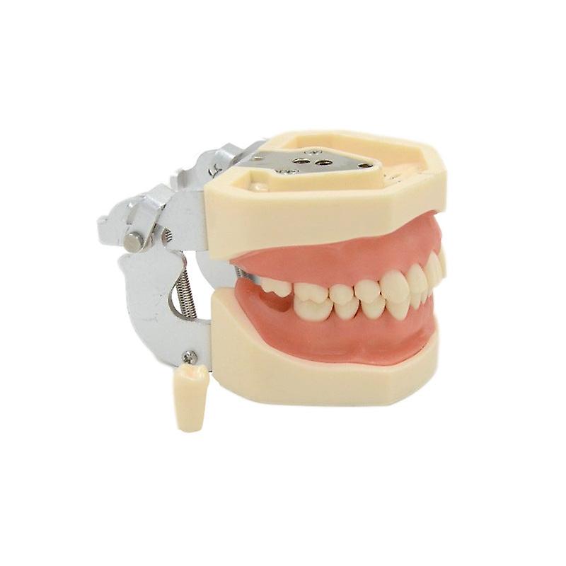 Preparation Of Soft Gum Cavity In Dental Practice Tooth Preparation ...
