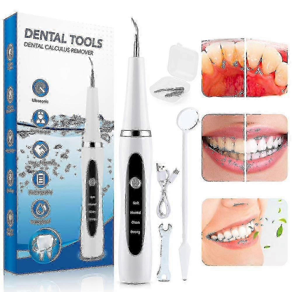 Electric Ultrasonic Dental Scaler Cleaning Kit Tartar Plaque Calculus ...