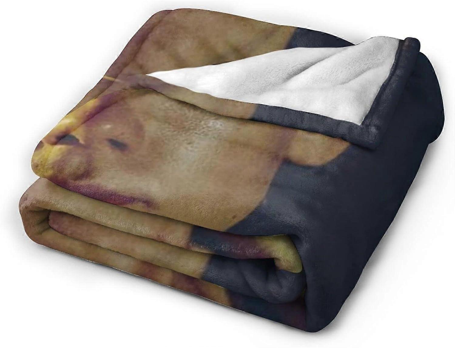 Thomas Brodie Sangster Lamb 3D Print Plush Bedding Decor for Living ...