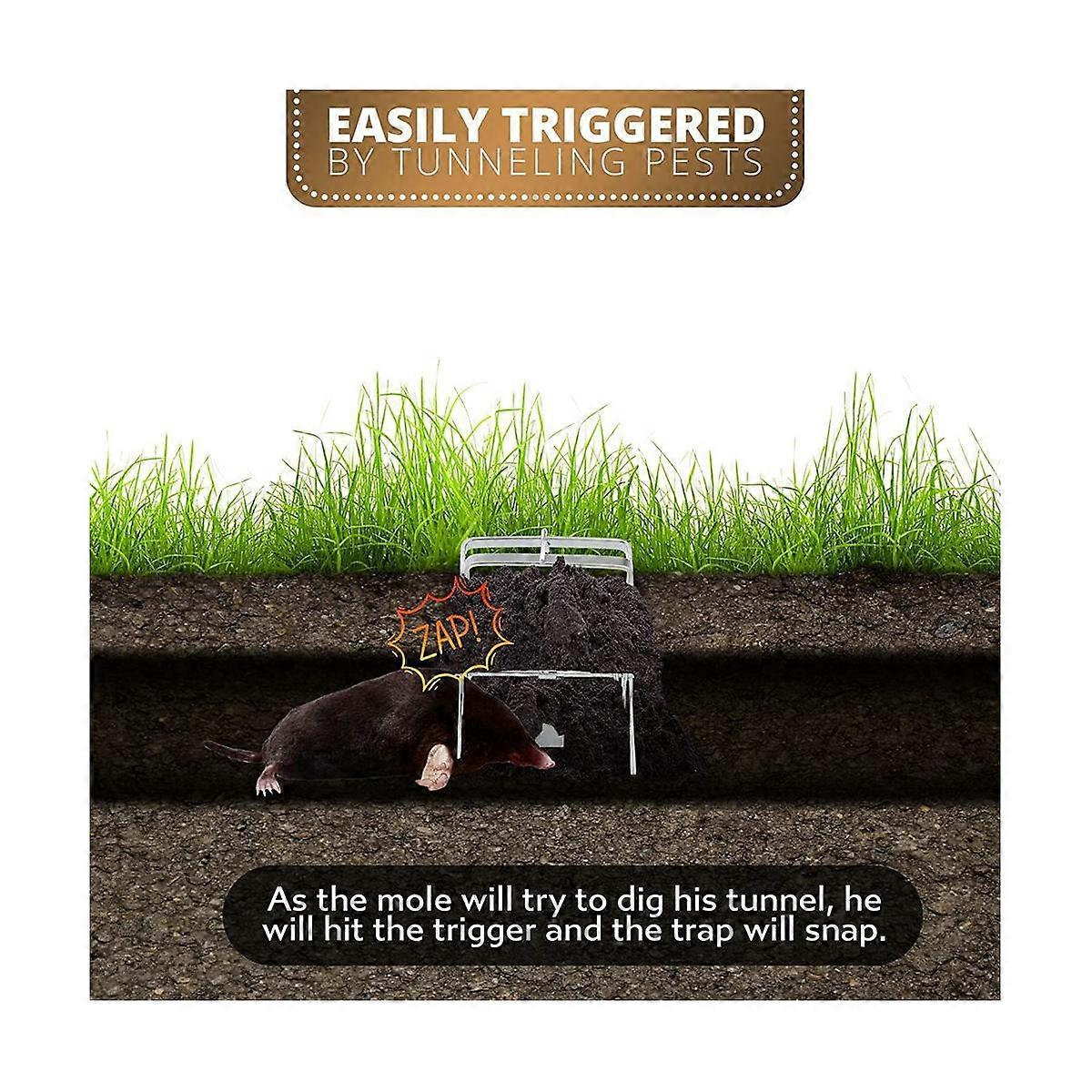 Mole Trap (Pack of 3) Powerful Trap to Catch Moles Protect Your Lawn ...