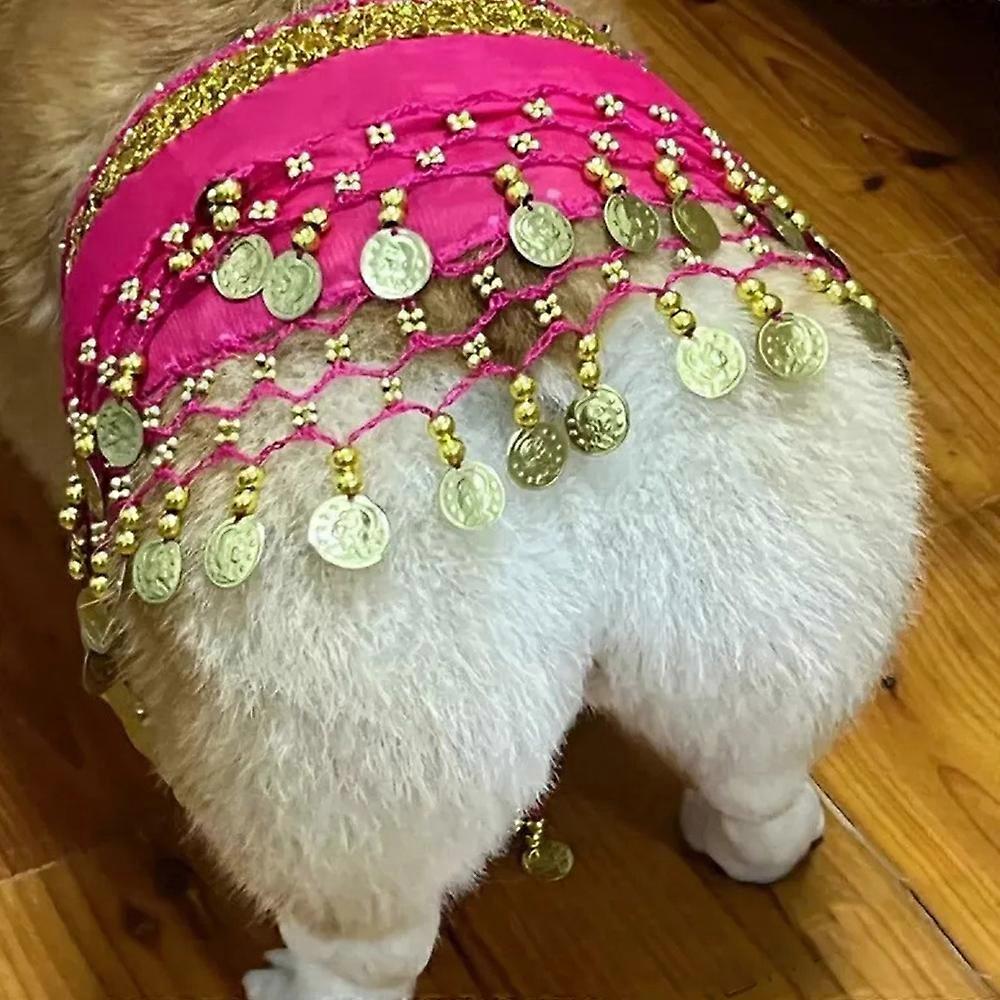 Corgi Waist Chain Butt Curtain Belly Dance, Passionate Puppy Shaking ...
