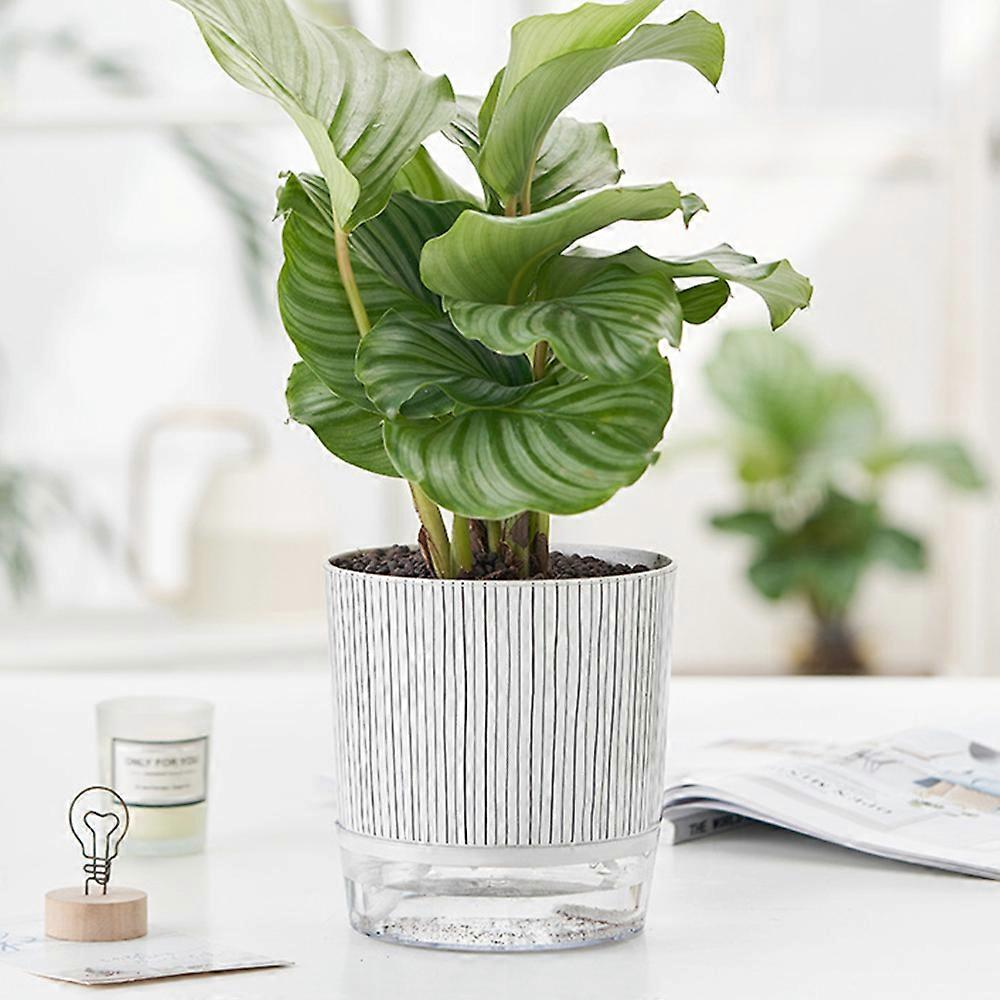 Transparent Base Plastic Self-Watering Flowerpot Good Draining Resuable ...