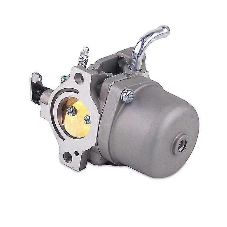 Carburetor Compatible with Briggs & Stratton 590399 796077 Engine CC760 ...