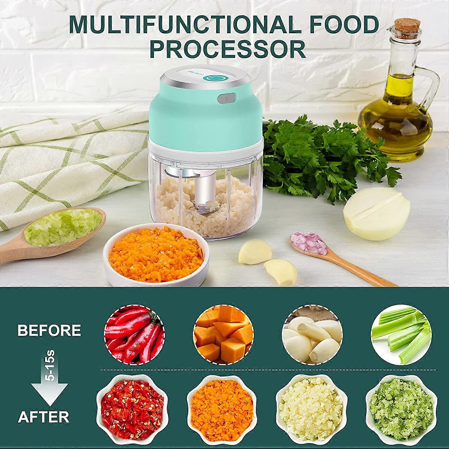 Mini Chopper, Electric Mini Food Processor, Small Garlic Chopper with ...