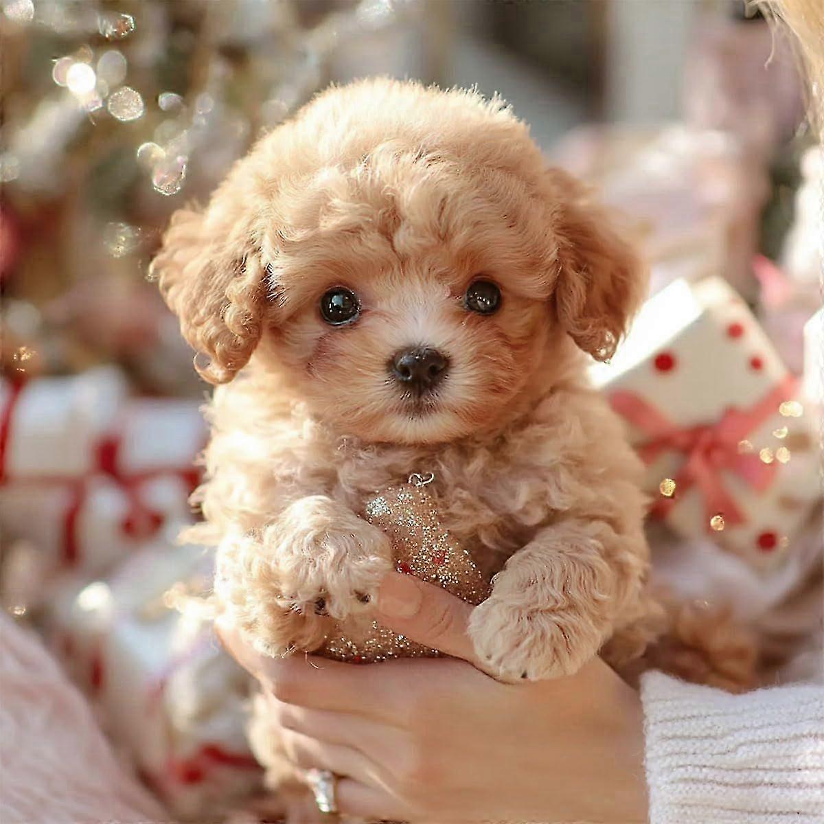 My Realistic Robot Puppy, Mini Interactive Plush Toy Pet Kids Cute Soft ...