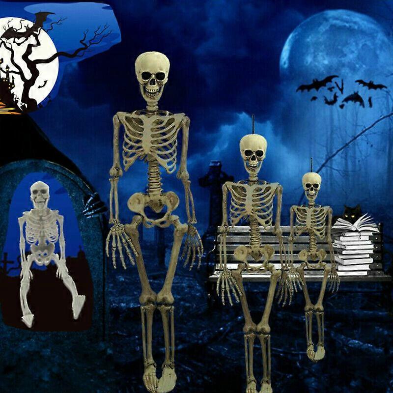 Poseable Full Life Size Human Skeleton Halloween Decoration Party Prop ...