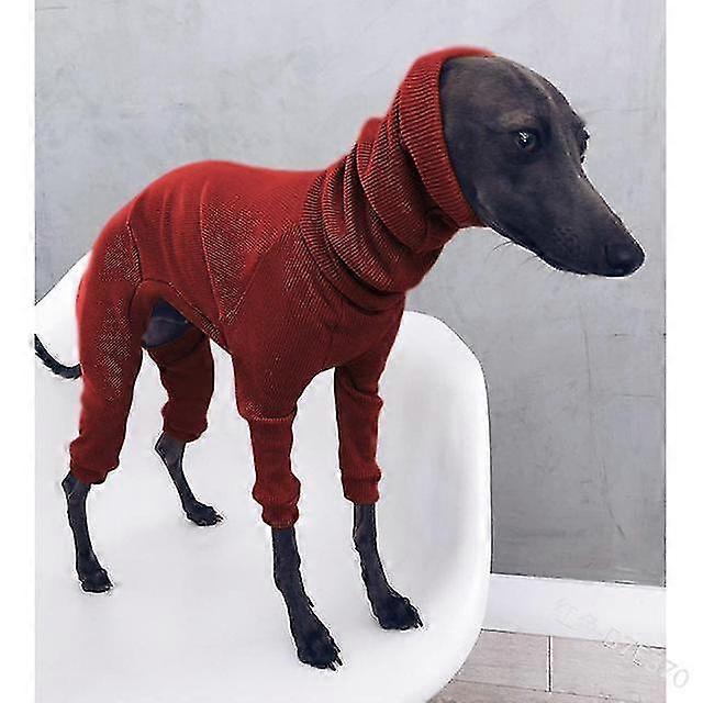 Windhond Hond
