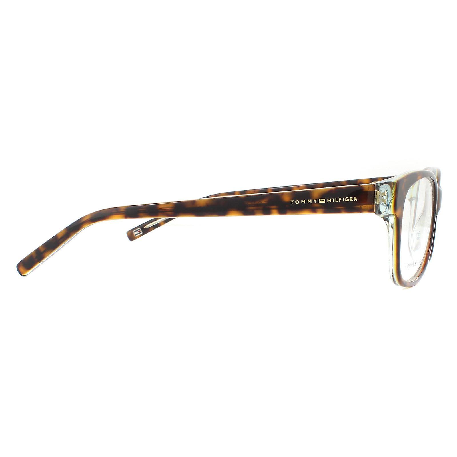 Tommy Hilfiger Glasses Frames TH 1017 1IL Havana Transparent Grey Men ...
