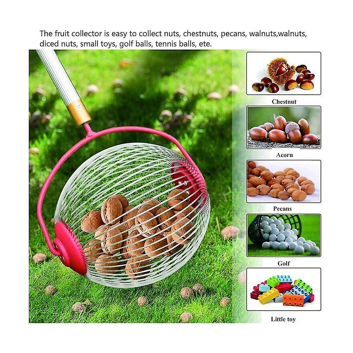 Fruit Collector Ball Collector Rolling Nut Ball Picker Adjustable ...