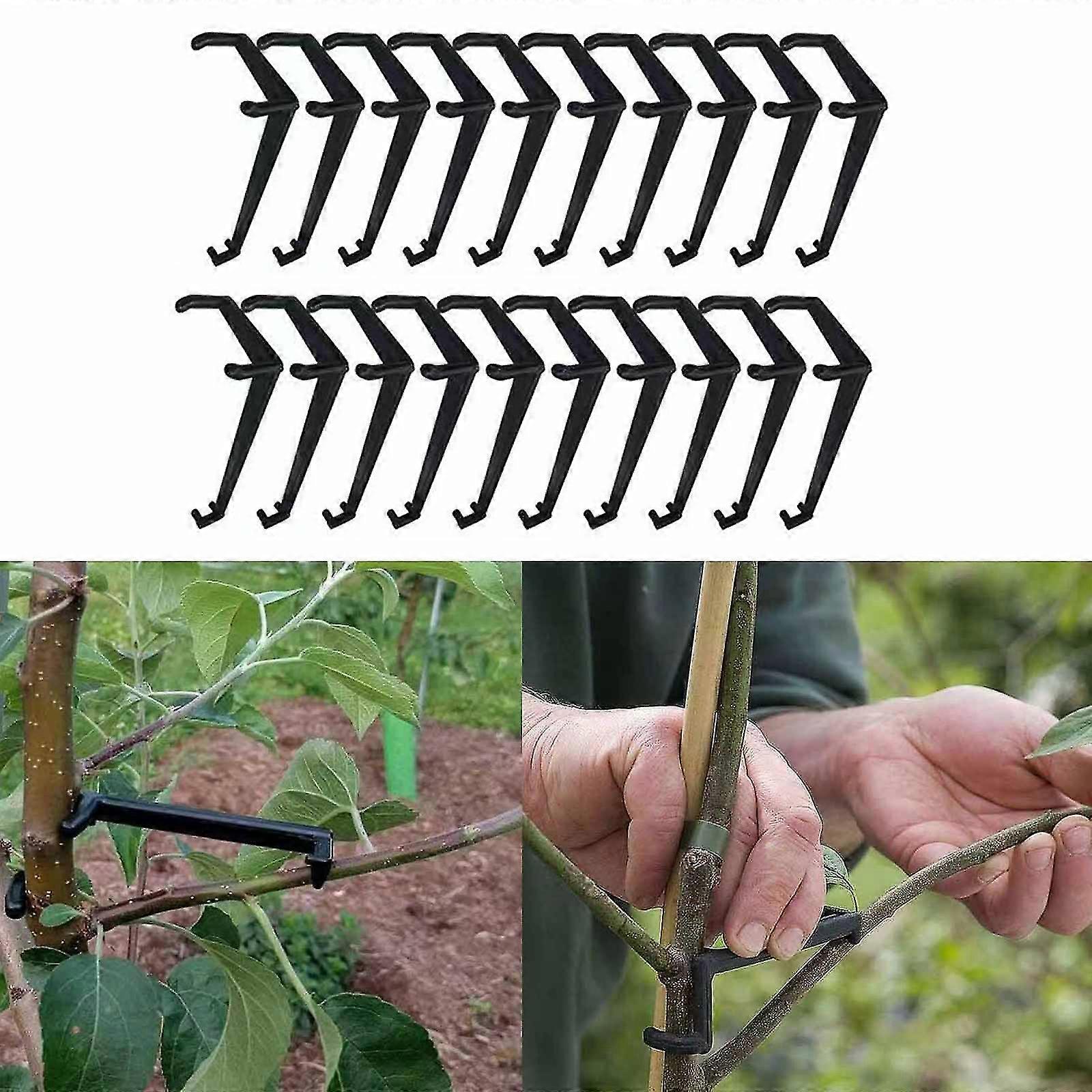 Fruit Tree Branch Limb Spreader For Strong Spreading Crotch Angles ...