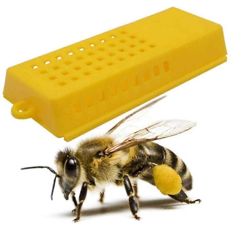 Plastic Queen Bee Cage Bee Queen Marking Cage Beekeeping Rearing Cup Kit Queen Marking Cage ...