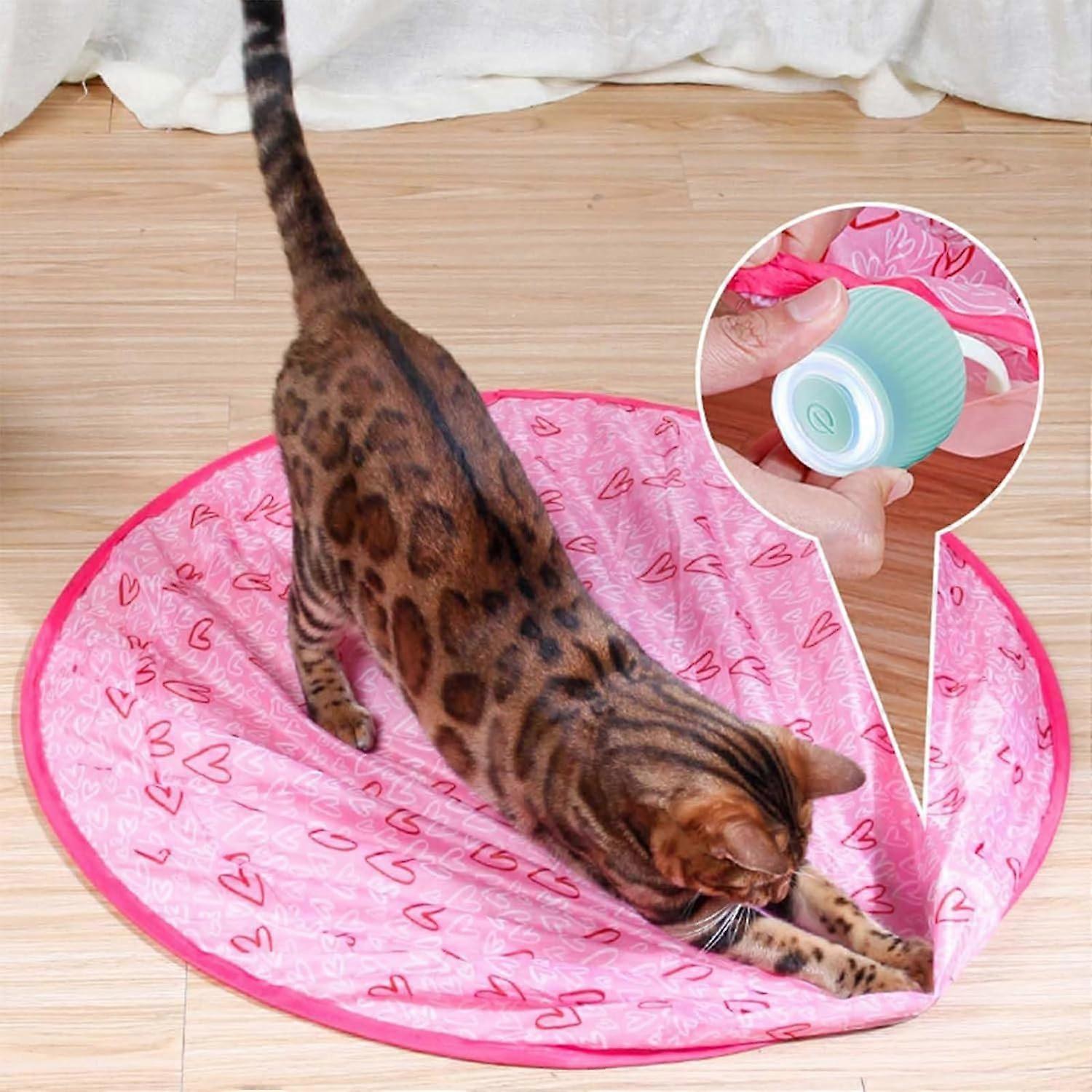Intelligent Electric Self-Rolling Cat Toy Ball, Automatic 360 Degree ...