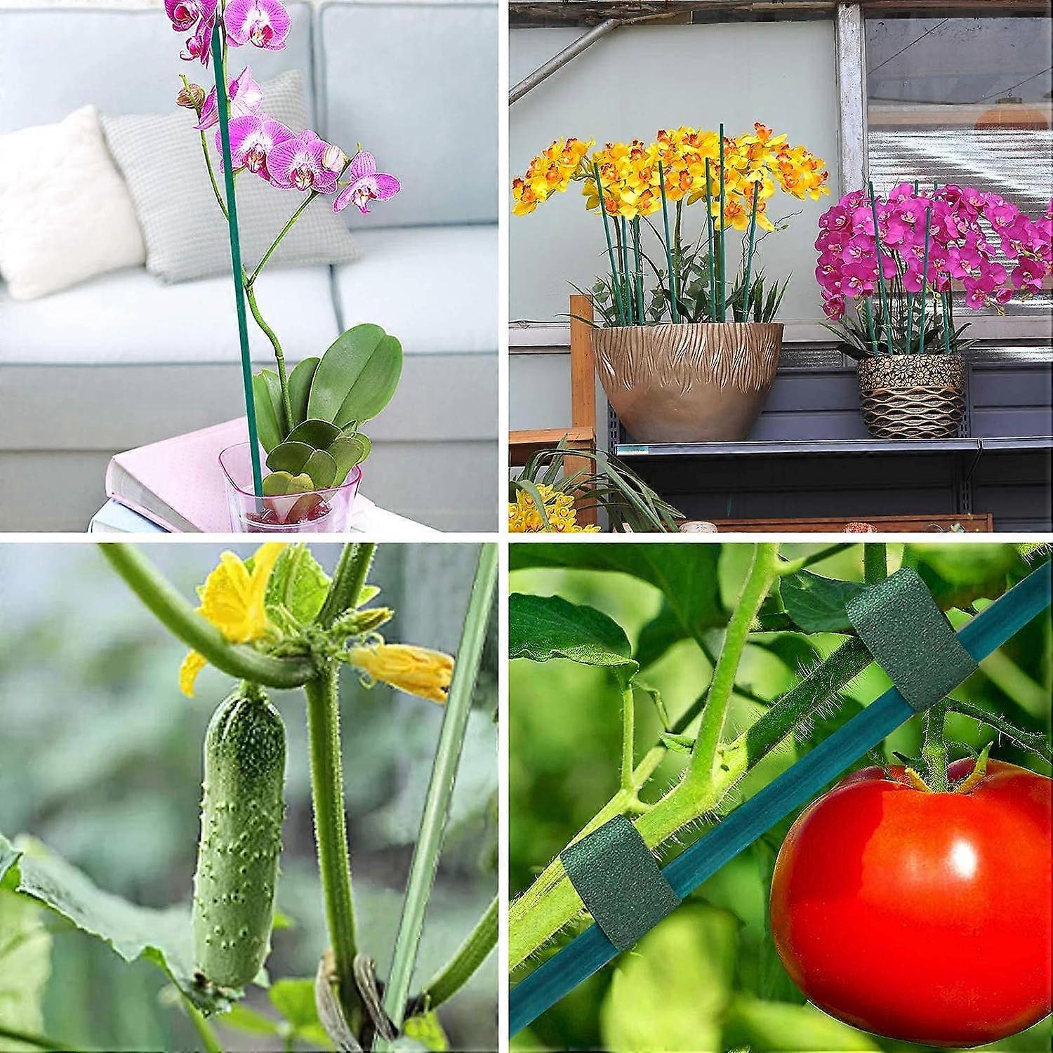 Plant Supports 50 Pieces Bamboo Plant Stick 45 cm Plant Sticks Green ...