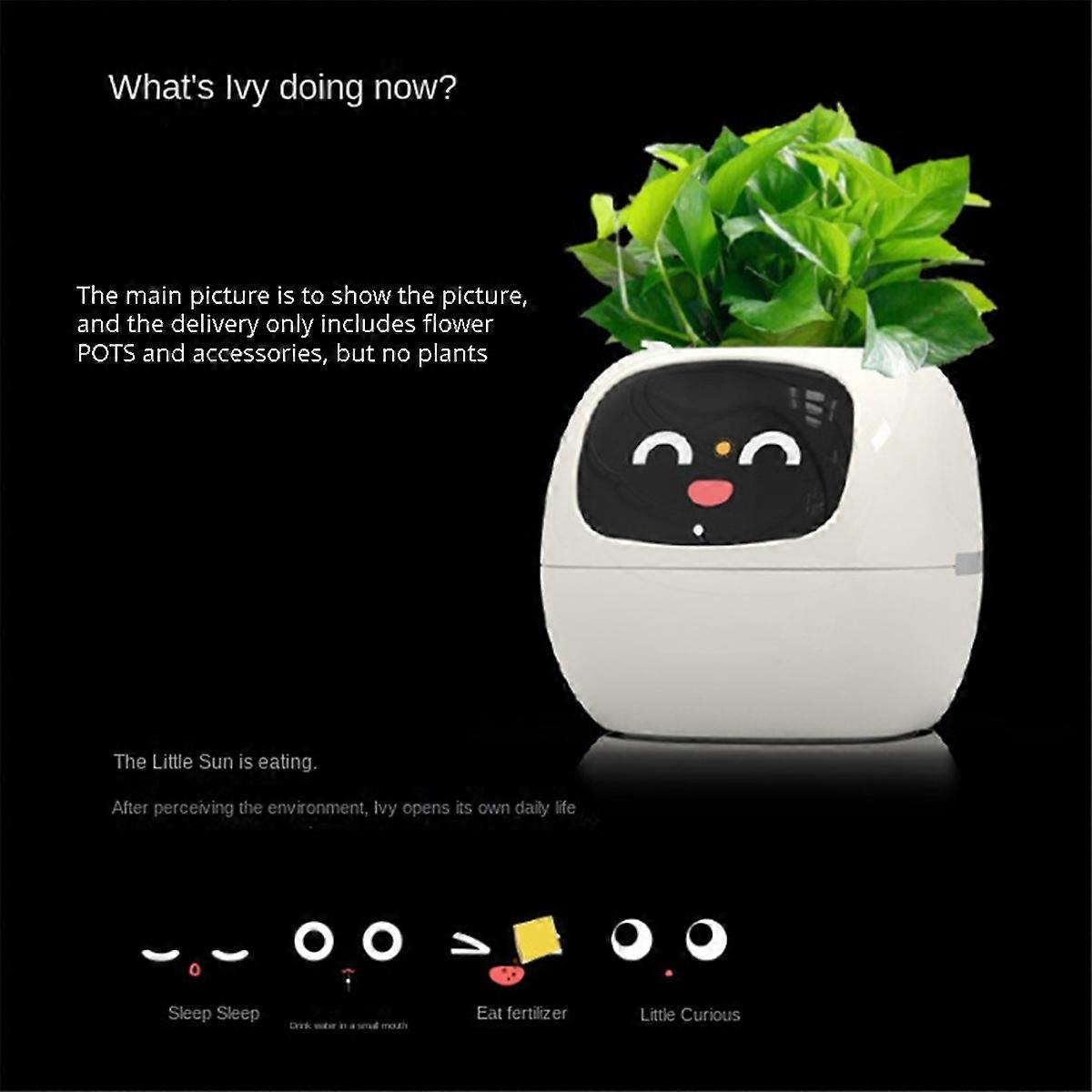 Ivy Smart Planter,USB Rechargeable Indoor Small Flower Pot White ...