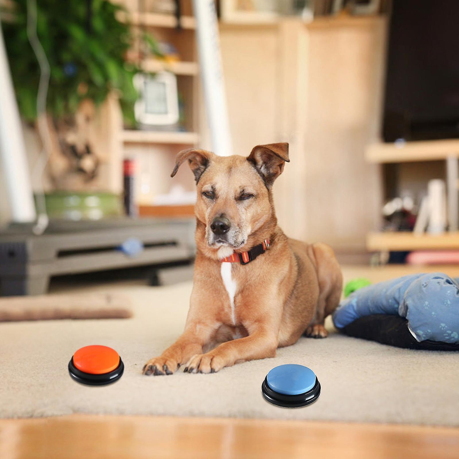 Enregistrable Dog Talking Button Voice Sound Interactive Toy Pet Answer ...