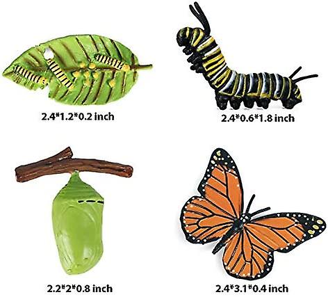 Insect Monarch Butterfly Growth Cycle Figurine Monarch Butterfly Life ...