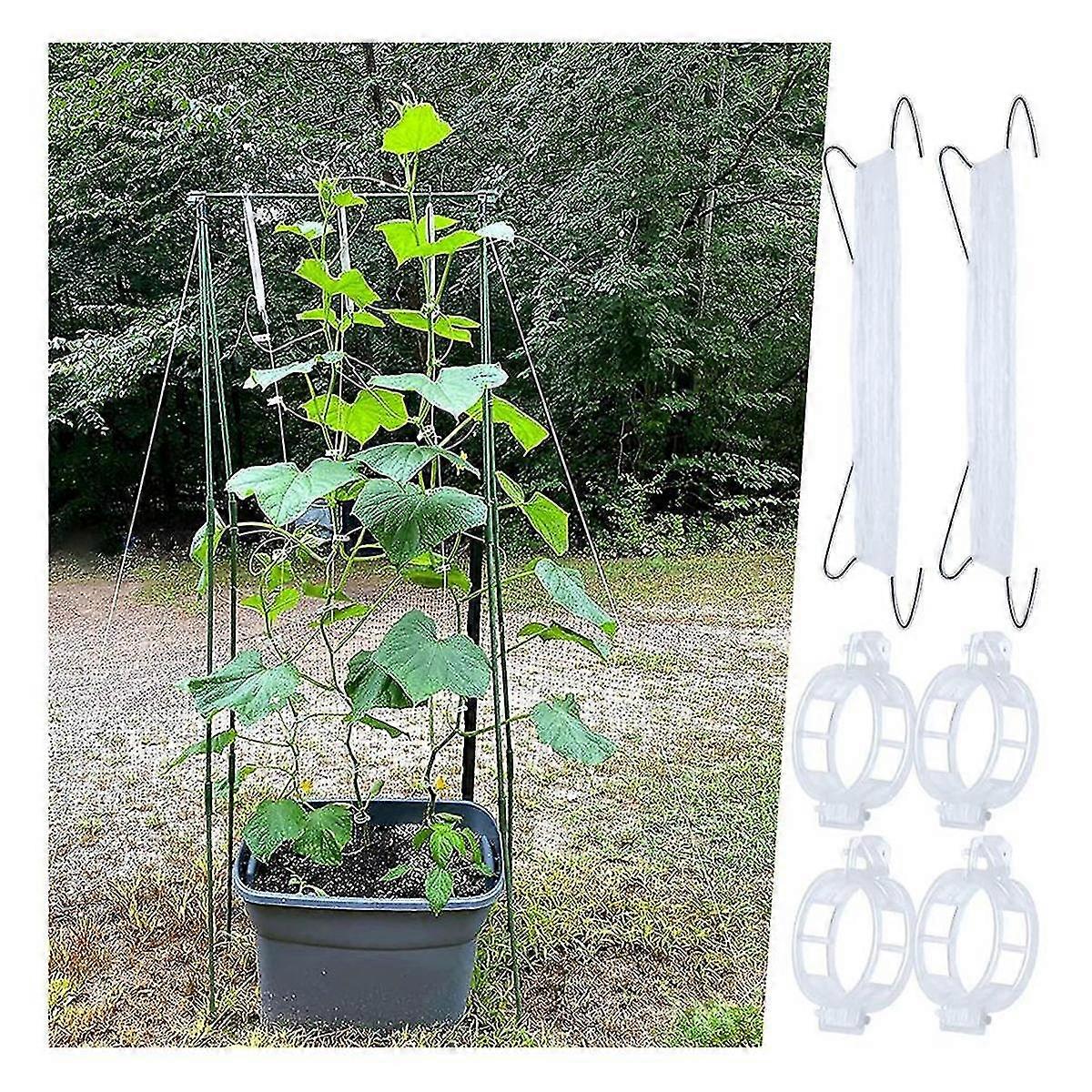 40pcs Tomato Hooks with String, Tomato Support Hooks, Tomato Holder ...