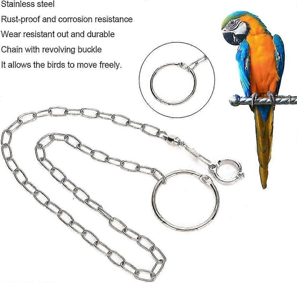 Parrot Foot Chain, Stainless Steel Anti-bite Flying Training Anklet ...
