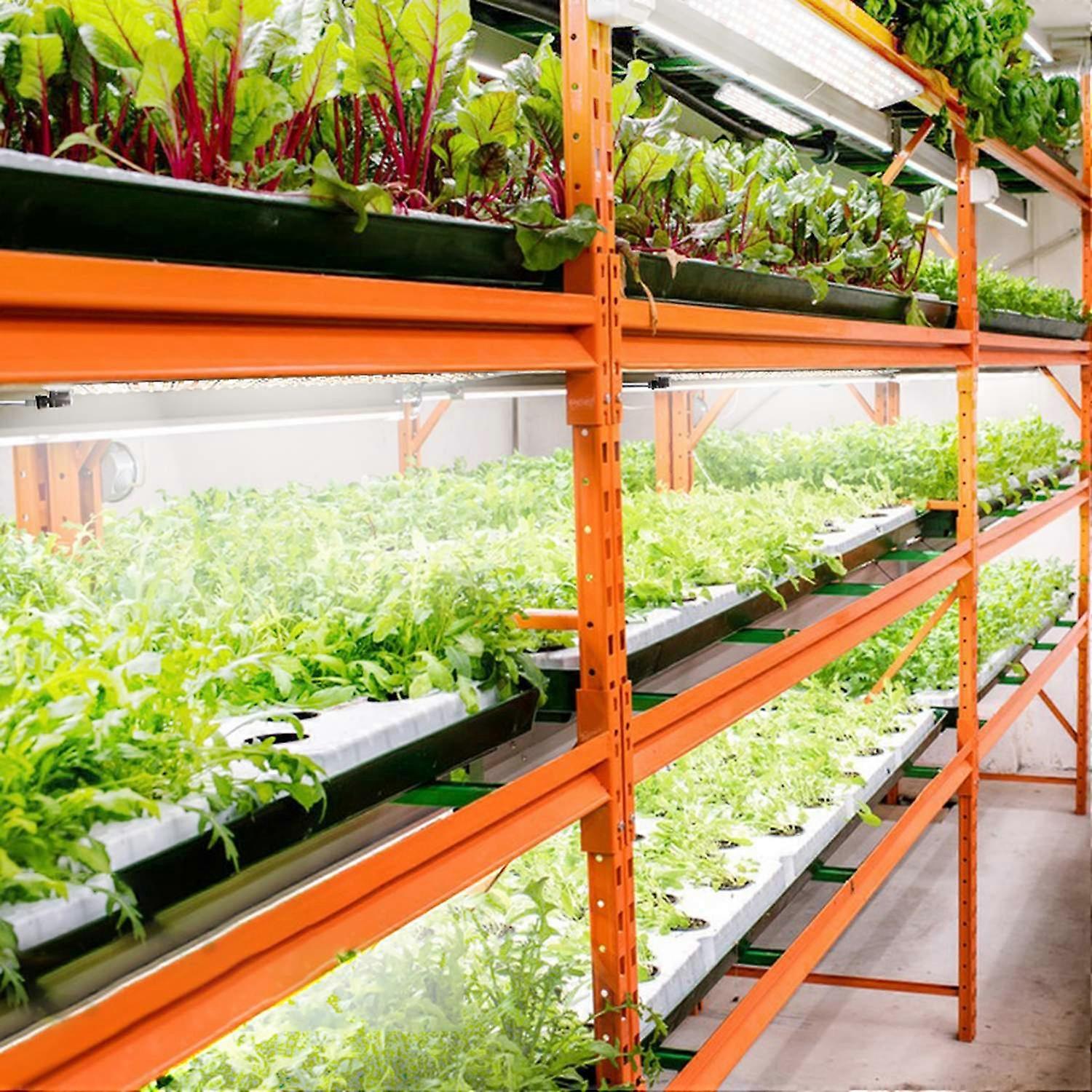 Full Spectrum LED Plant Growth Light Board Supplement Light for Indoor ...