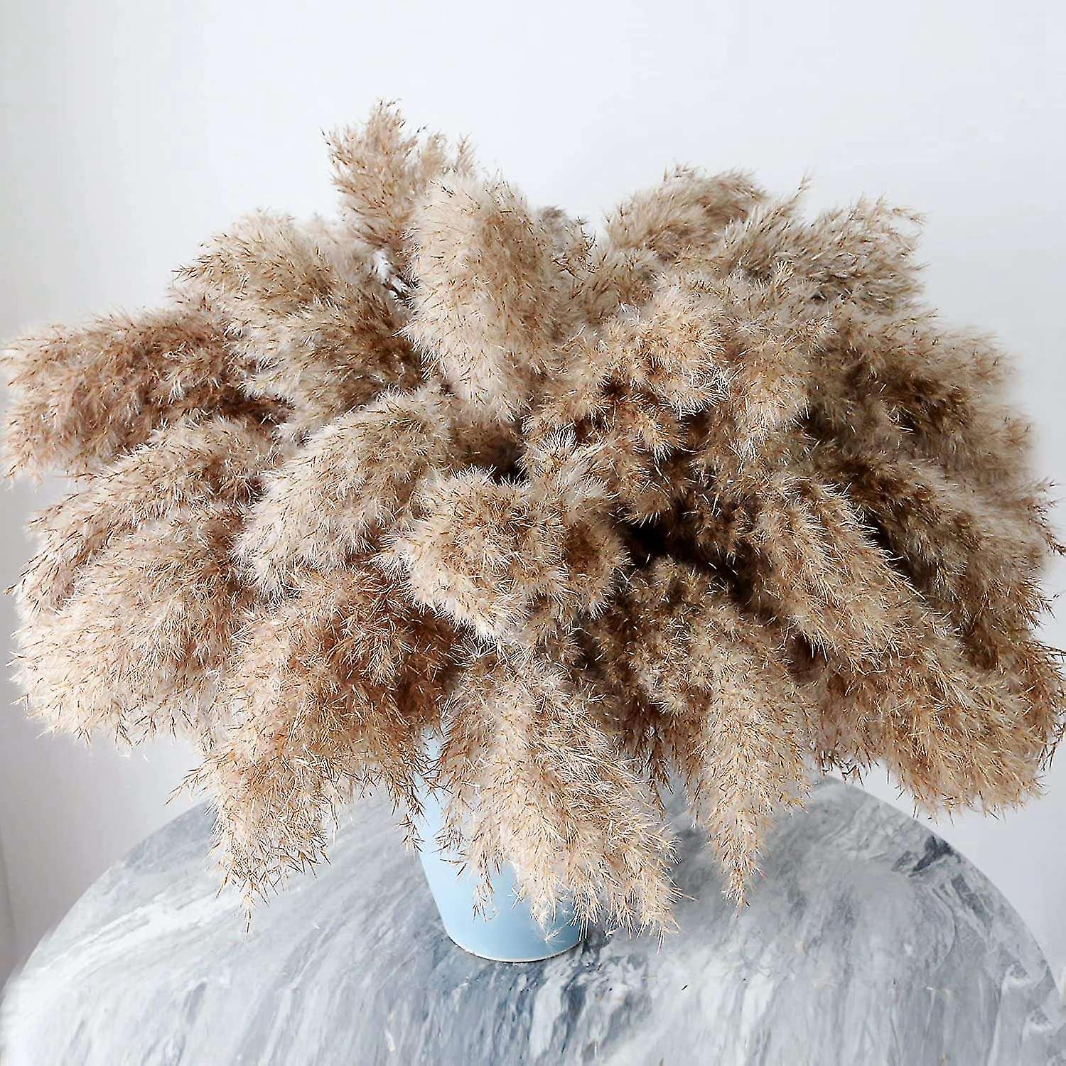 30 stjälkar torkat pampasgräs, pampasgräs fluffiga pampas, 17 tum bulk ...