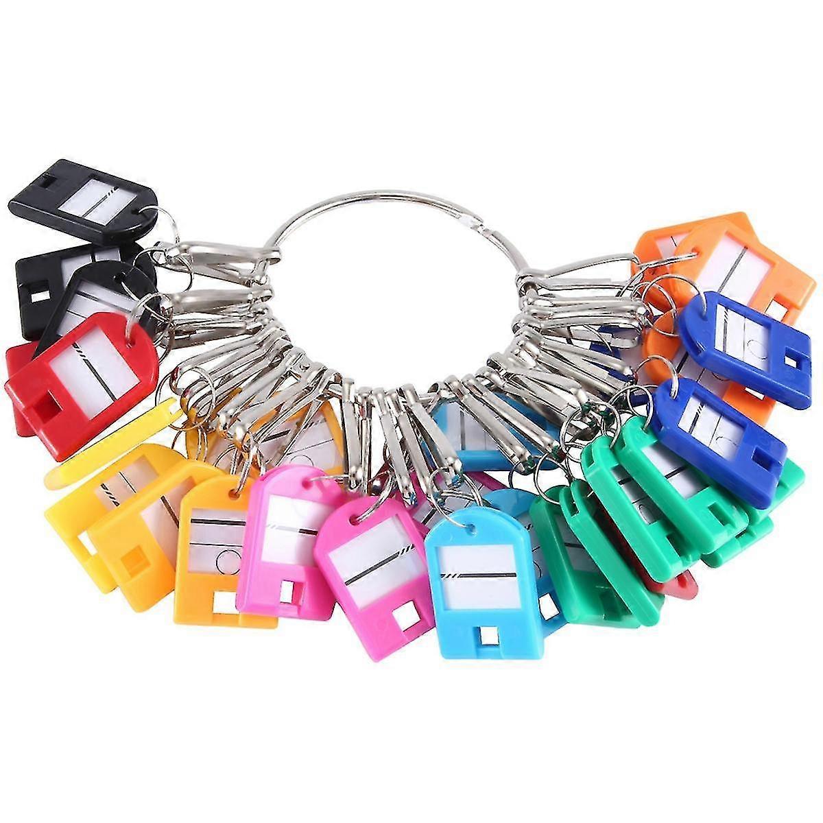 Portable Key Organizer, with 30 Individual Spring Hooks and Key Tags ...