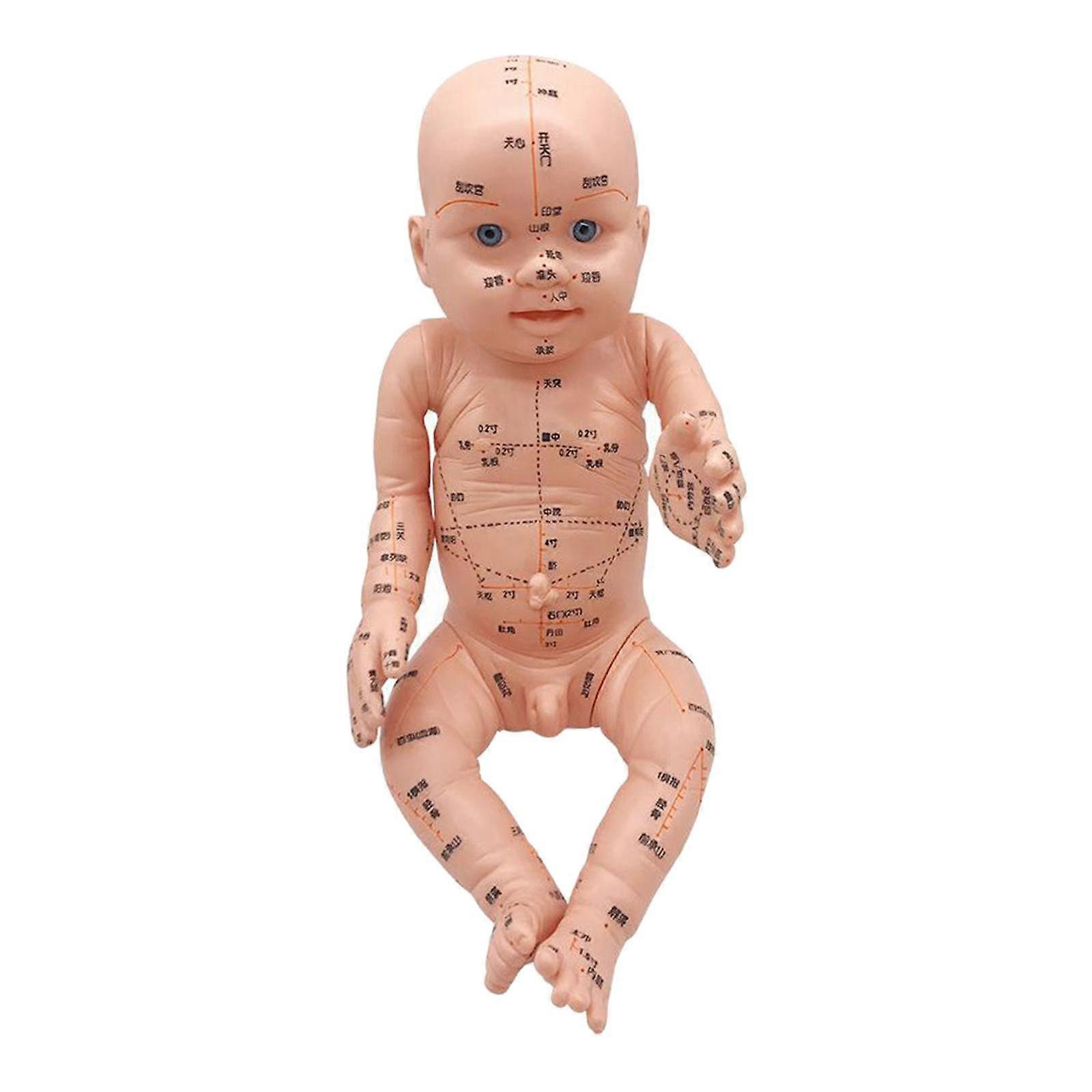 Infant Kid Acupuncture Point Pediatric Massage Model Human Body Infant ...