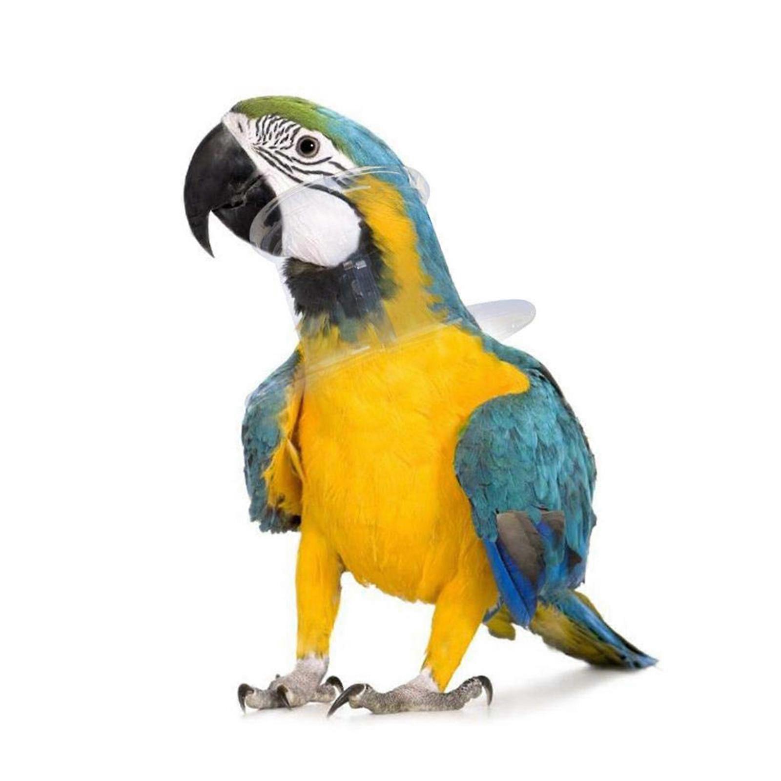 Bird Collar Parrot Anti-bite Recovery Cone Feather Plucking Neck Cover ...