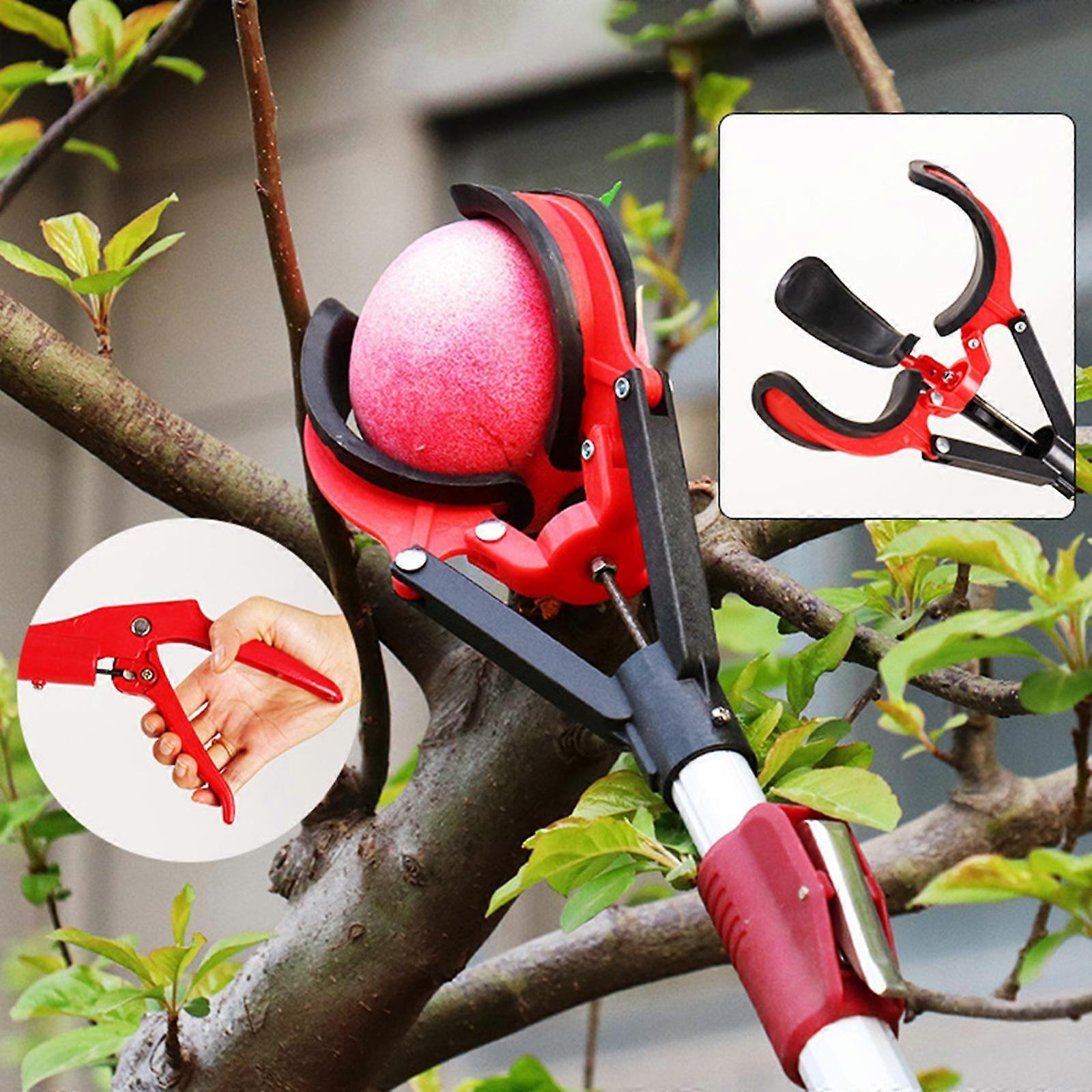 Telescopic Fruit Picker Versatile Adjustable 51-90" for Lemon Mangoes Apples | Fruugo UK