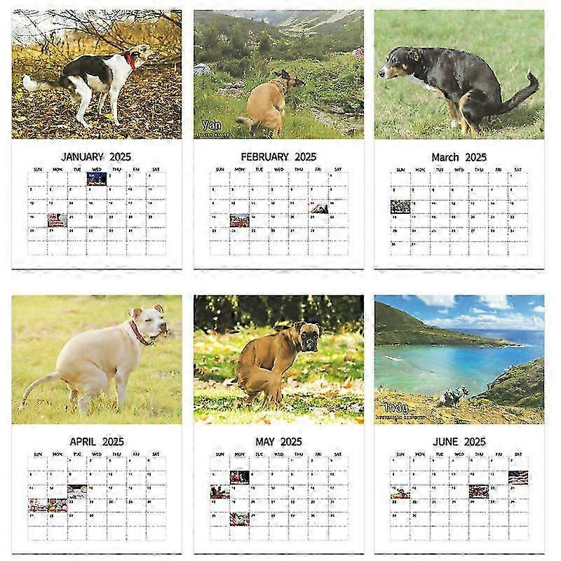 Dogs Pooping In Beautiful Places Wall Calendar 2025 Calendar, Dog ...