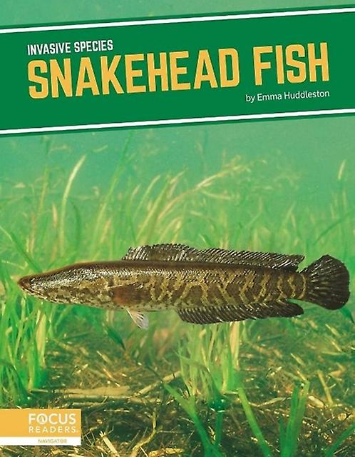 Snakehead Fish | Fruugo UK