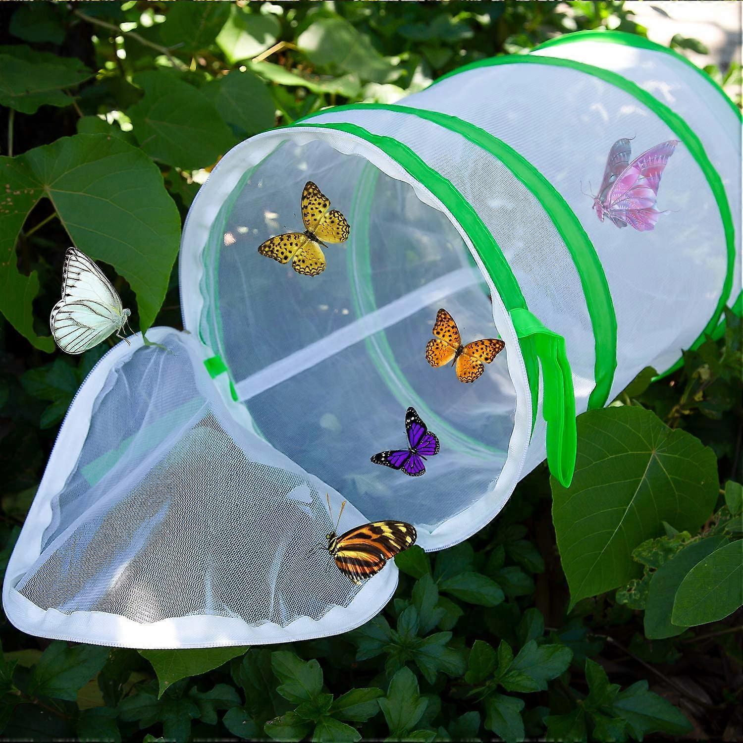 Habitat of insects and butterflies breeding Foldable Cage Insect Mesh ...