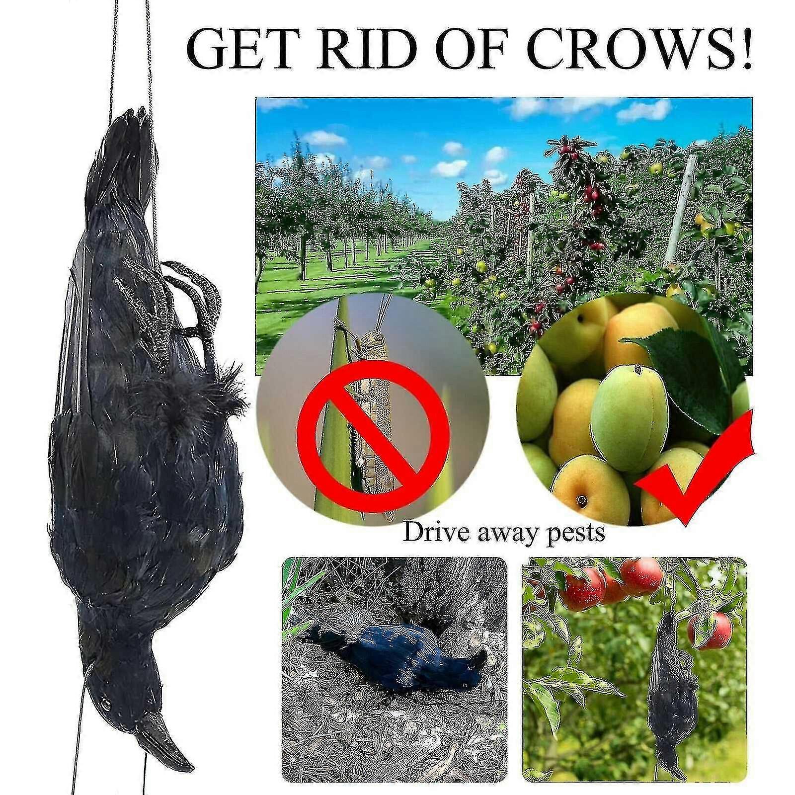 Realistic Hanging Dead Crow Decoy Lifesize Extra Black Feathered Crow ...