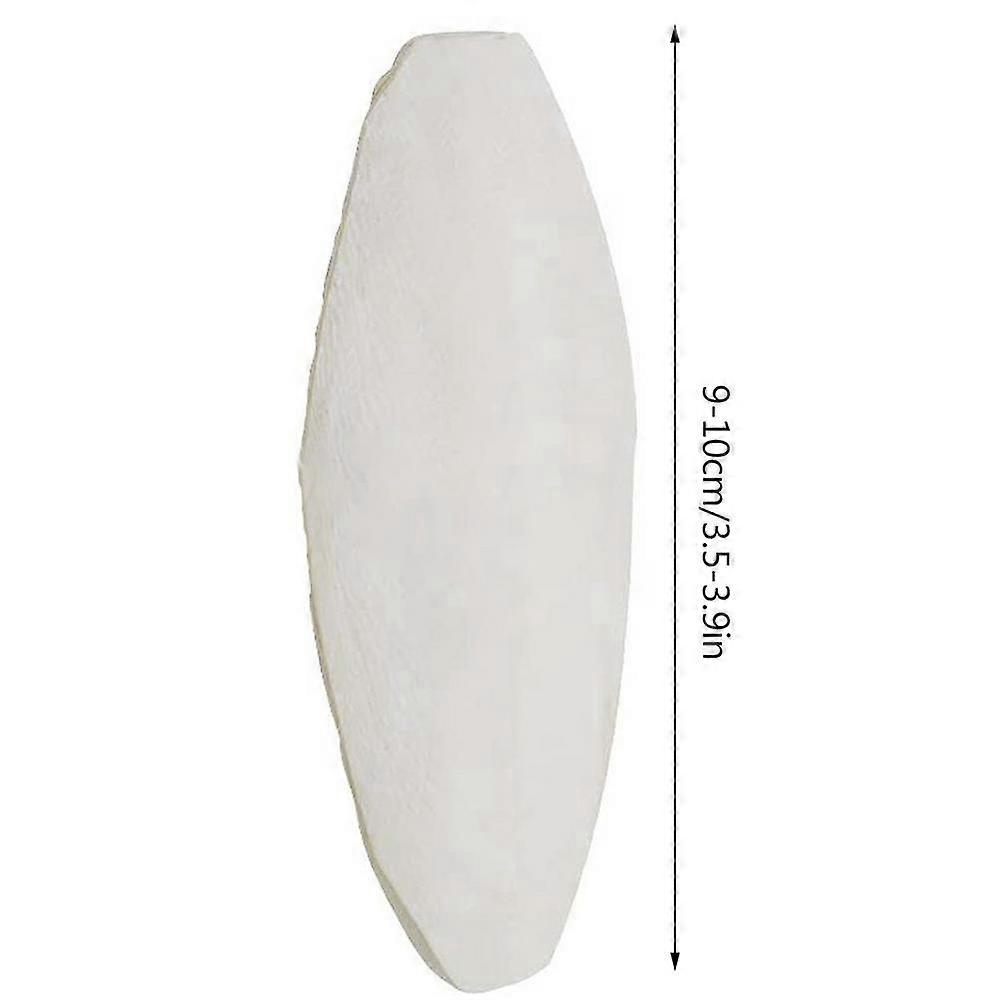 New 10pcs/set Birds Cuttlebone Parrot Chewing Cuttle Bone for Sharp ...