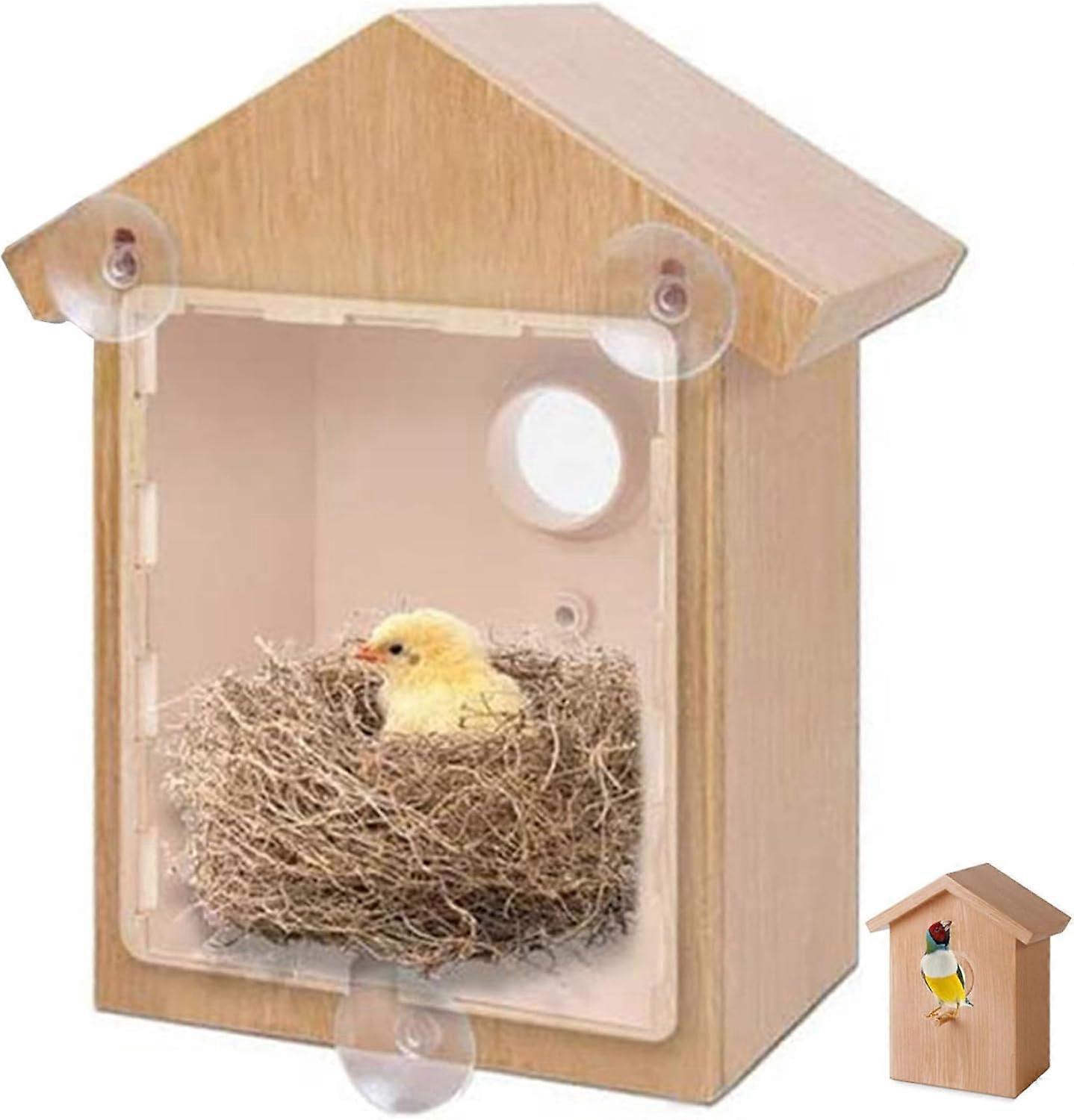 Window Bird Box Plastic With Strong Suction Cup, Natural Wood Colour ...