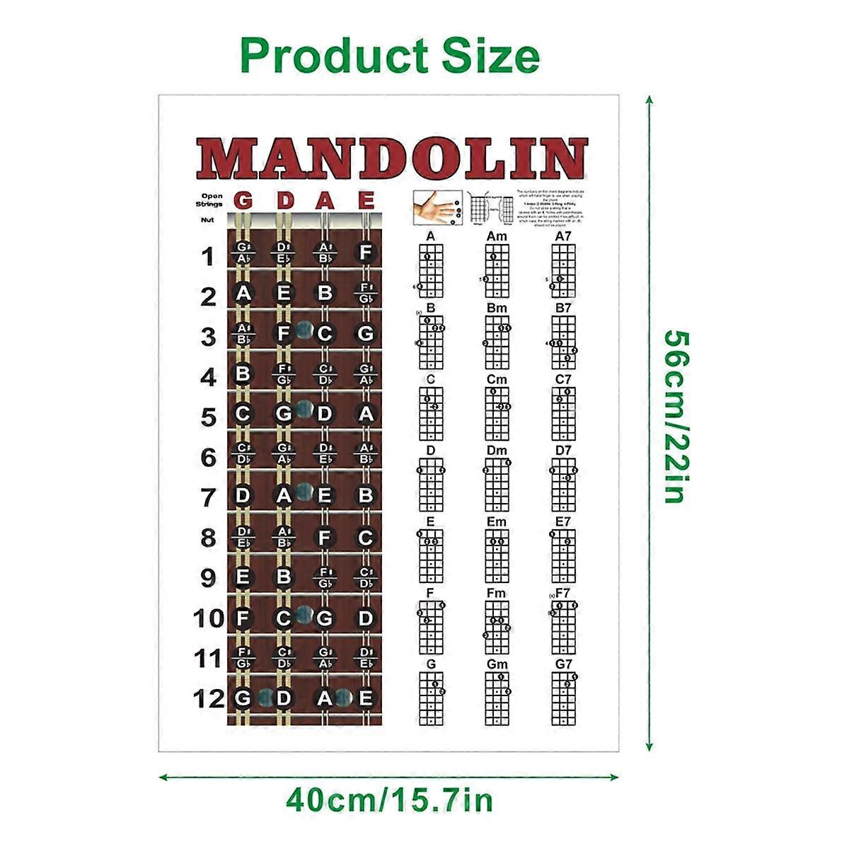 Mandolin Poster Chart Chord Musical Trainning Instrument Guide Chords ...