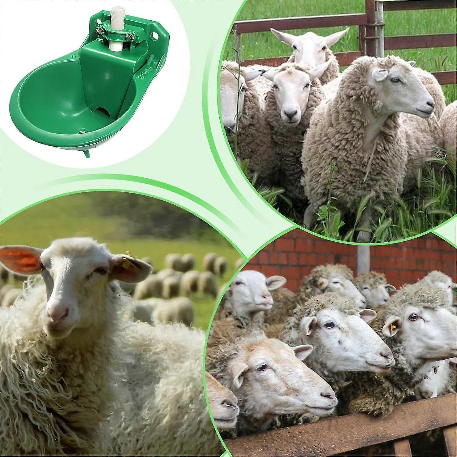 Automatic Water for Livestock Sheep Goat Horse Poultry Drinker 500 mL ...