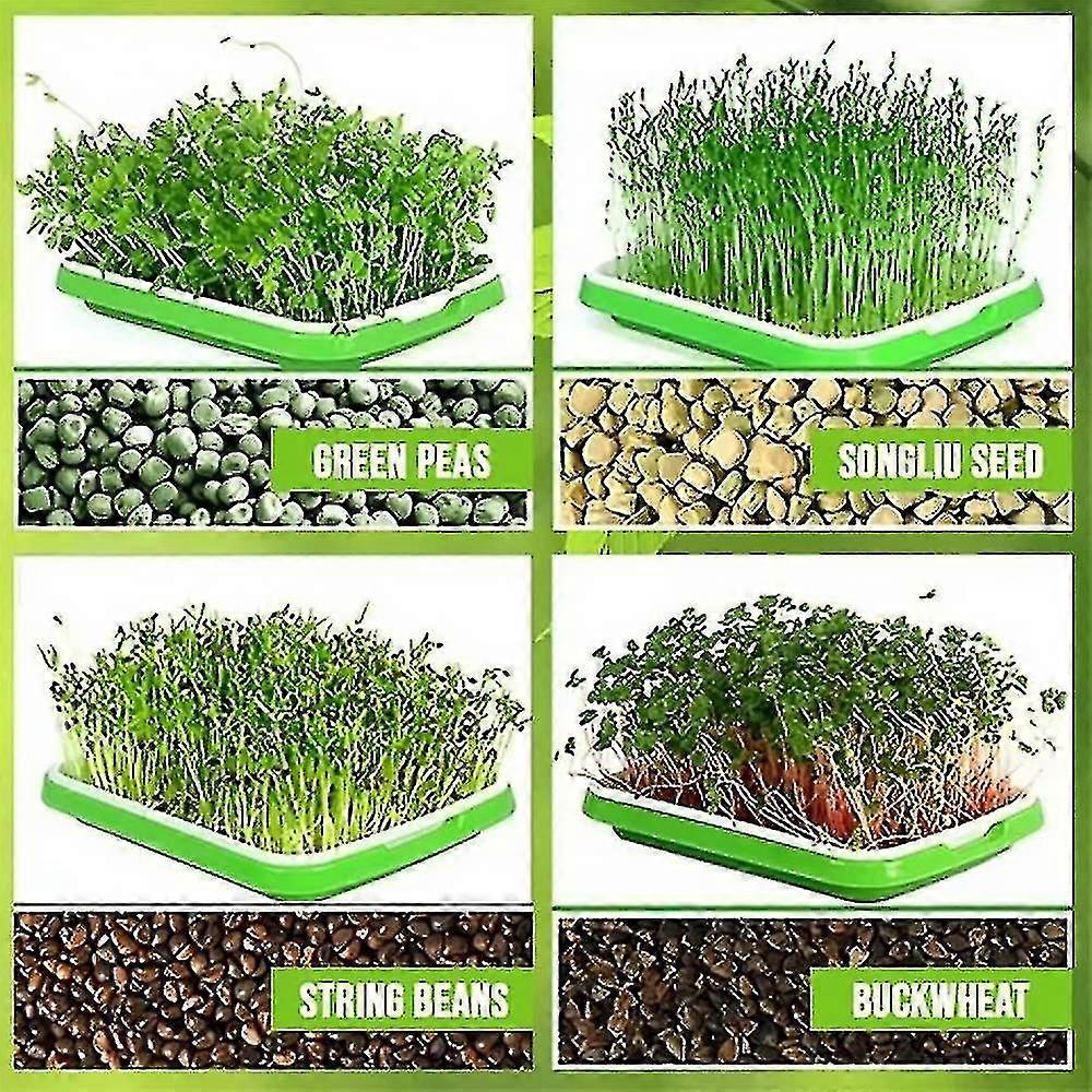 3 Pcs Seed Sprouter Tray, Sprouting Trays For Sprouts Sprouting Tray ...