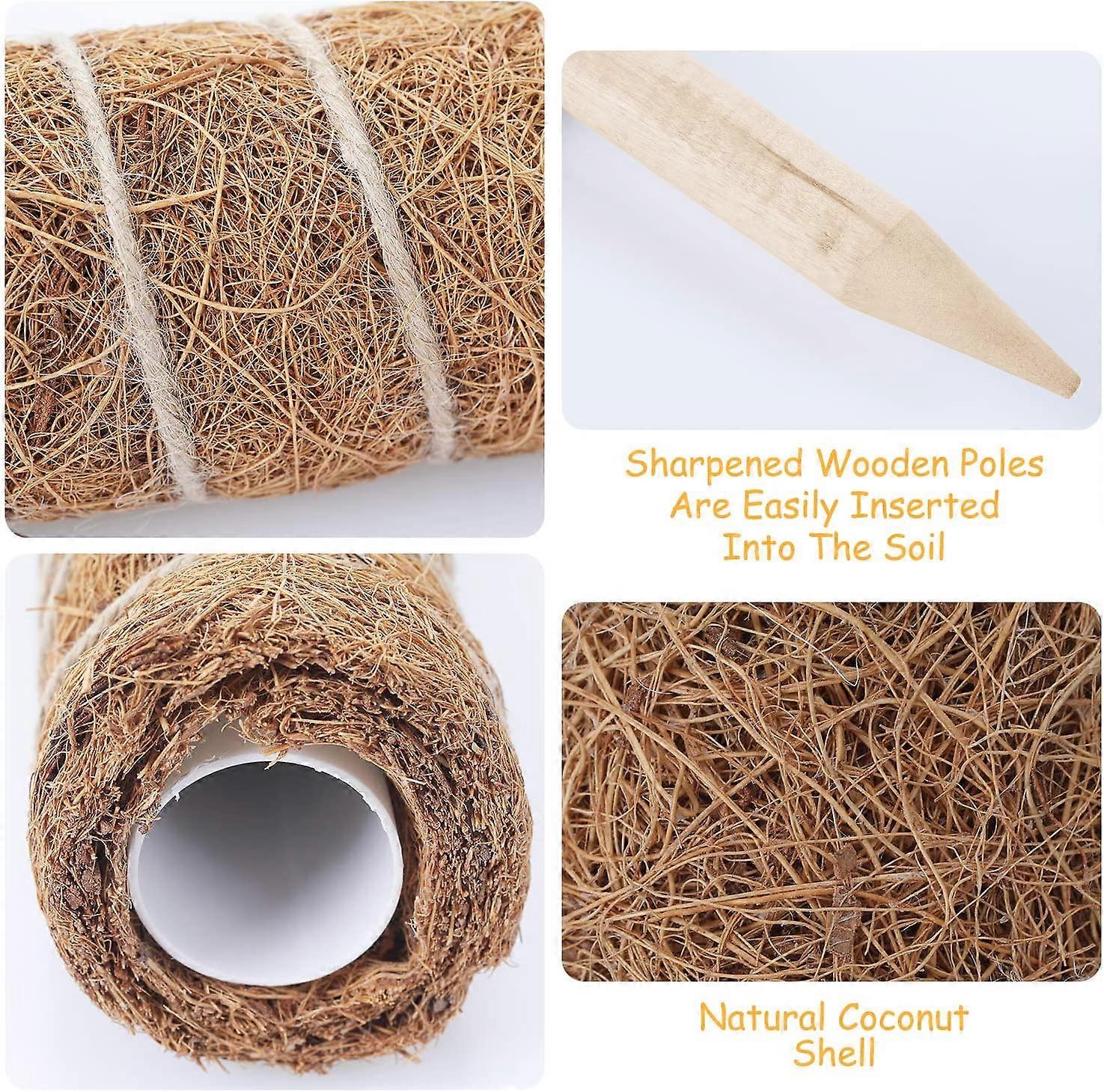 Moss stick, 2 pieces 40 cm Monstera climbing aid, extendable Natural ...