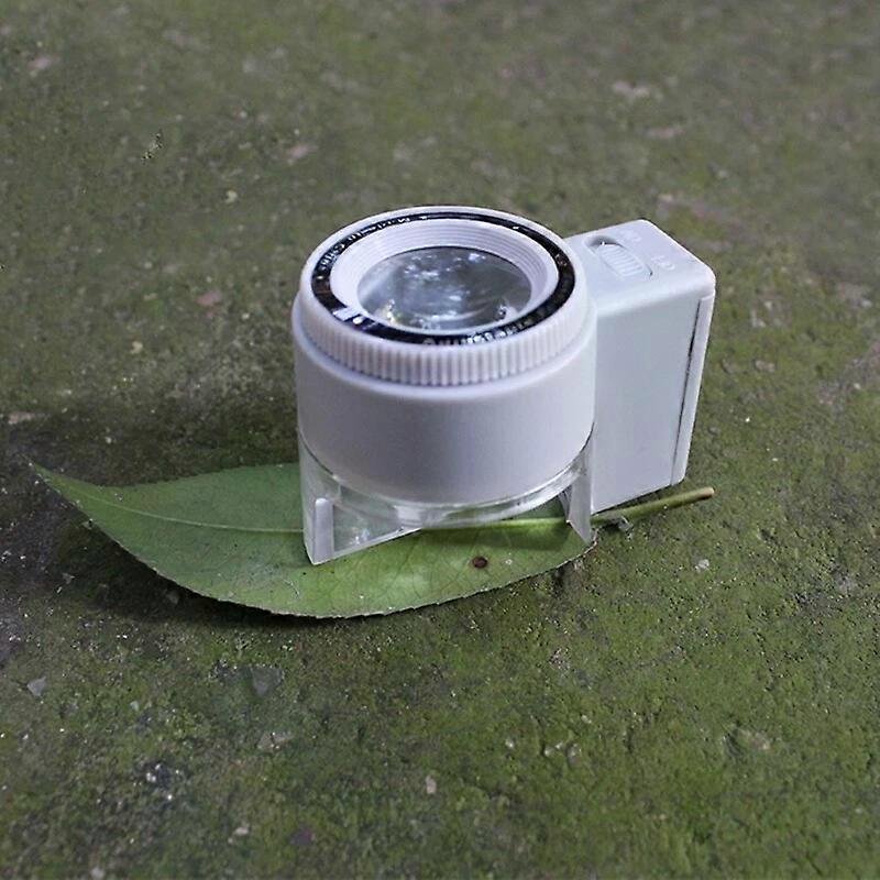 Handheld Magnifier, Small Illuminated with Scale, Magnifying Glass for ...
