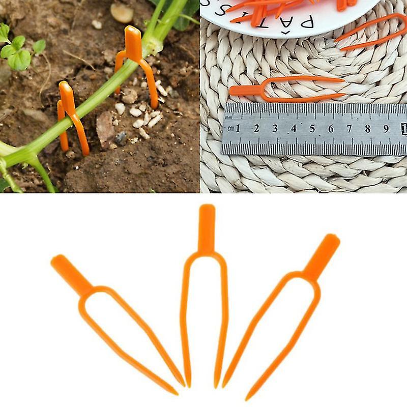 100pcs Plant Fork, Gardening Planting Digging Fork Plant Fixing Clamp ...