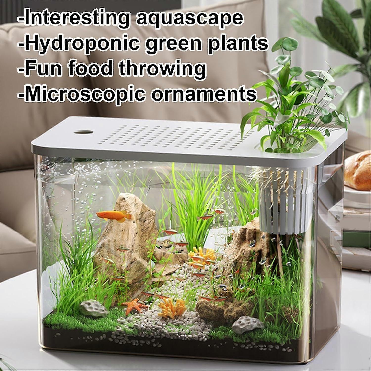 Transparent Turtle Shells - Small Clear Fish Bowl Aquarium Habitat ...