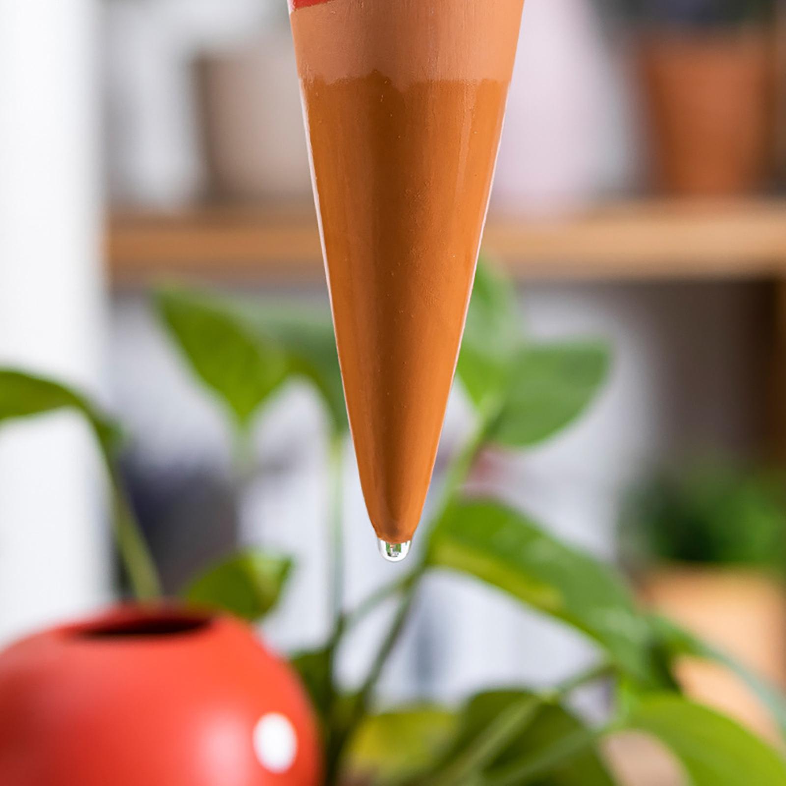 Self Watering Spike Plant Watering Balls Irrigation Clay Waterer Garden ...