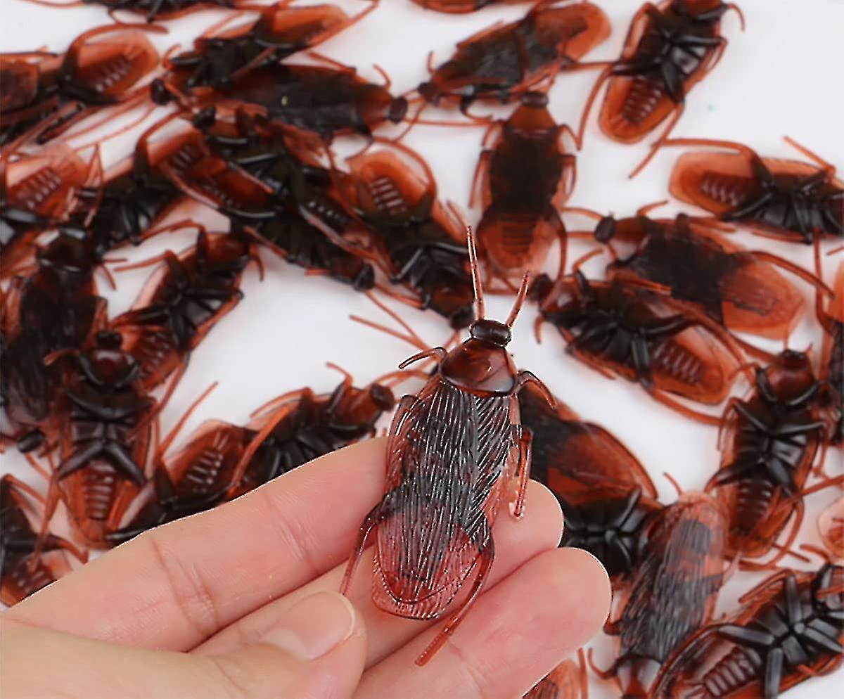 12- Fake Roaches Prank - Cockroach Bugs Look Real Black | Fruugo UK