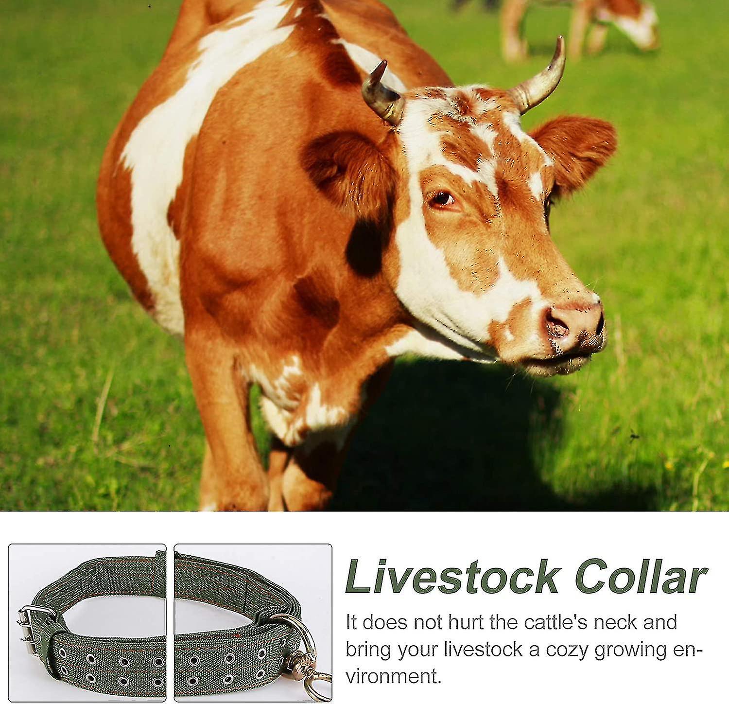 Calf Collar Neck Strap Adjustable Buckle Livestock Traction Necklace ...