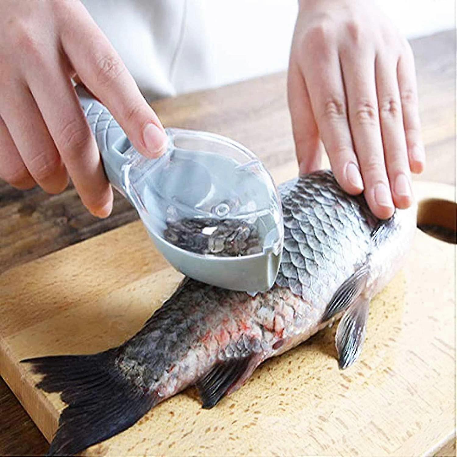 2024 3 Pieces Fish Scale Scraper, Plastic Fish Scale Scraper, Fish ...