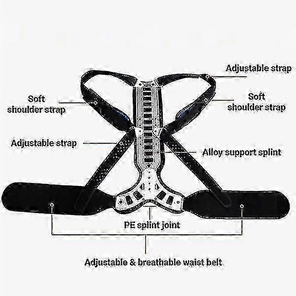 posture Corrector For Hunched Back, Kyphosis And Vertebral Fracture ...