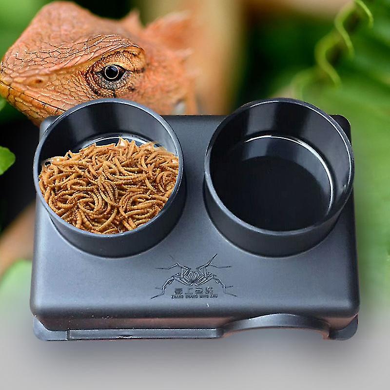Lizard Hermit Crab Gecko Turtle Spider Pet Reptile Food Water Bowl Set ...